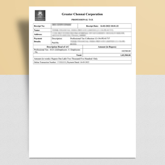 Professional Tax Return Filing