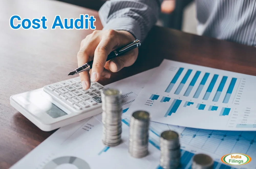 Cost Audit: Meaning, Objectives, Process, Advantages, and Legal ...