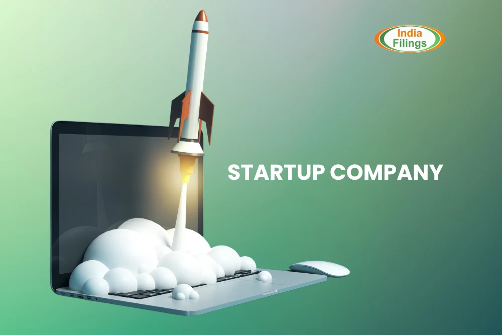 Startup Company: Meaning, Types & How to Start in India
