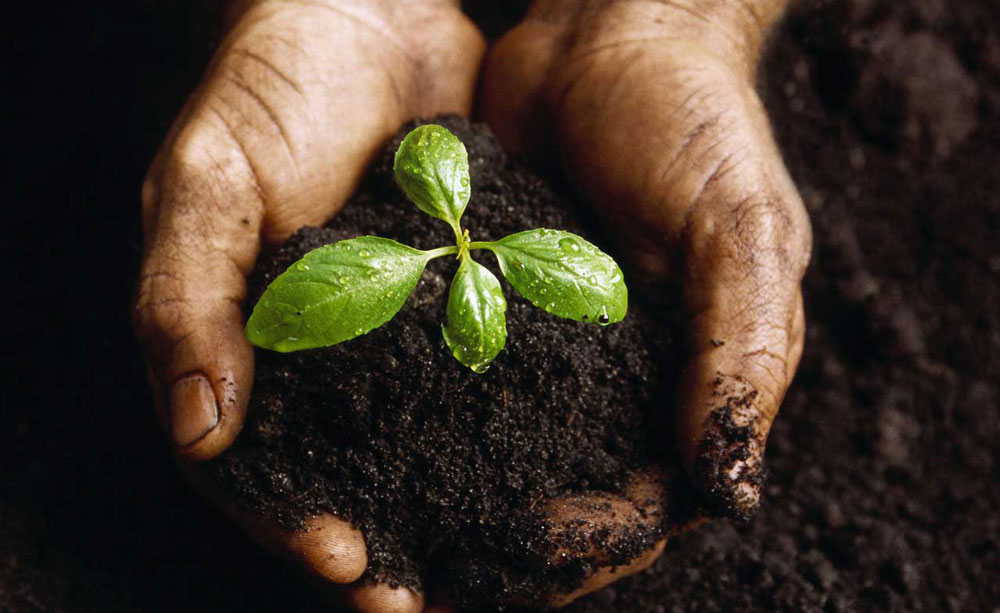 How to Get SSI/MSME Registration Online - IndiaFilings