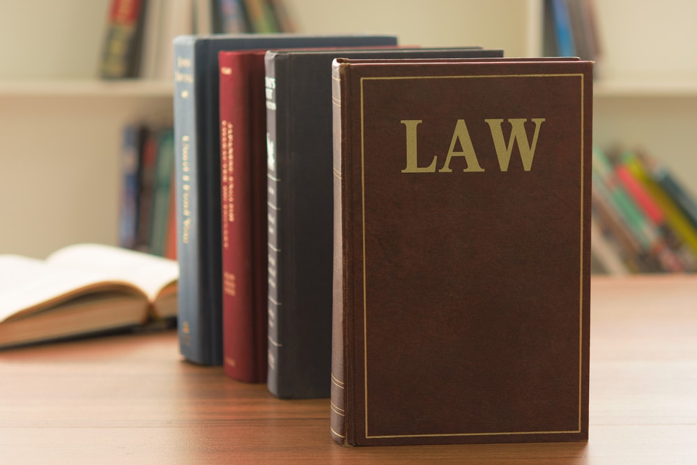 Taxable Person - Model GST Law