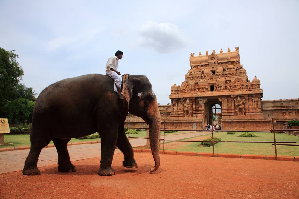Domicile Certificate Tamil Nadu