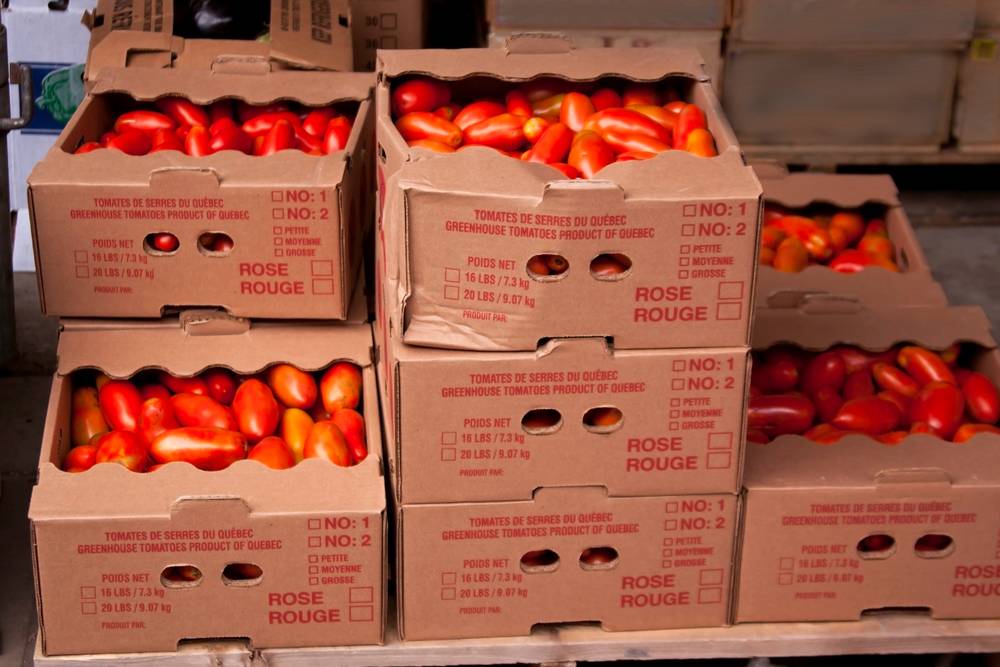 Online Platform for Agri-Produce Sales in Delhi NCR