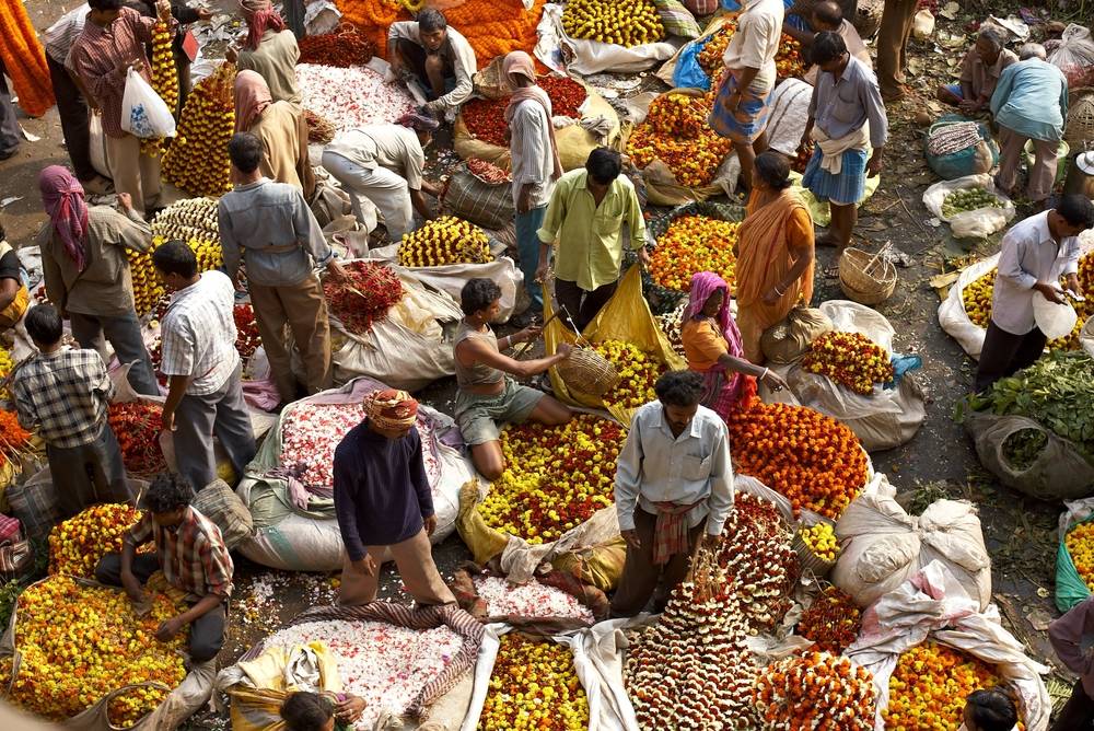 National e-Governance Plan in Agriculture (NeGP-A) - IndiaFilings