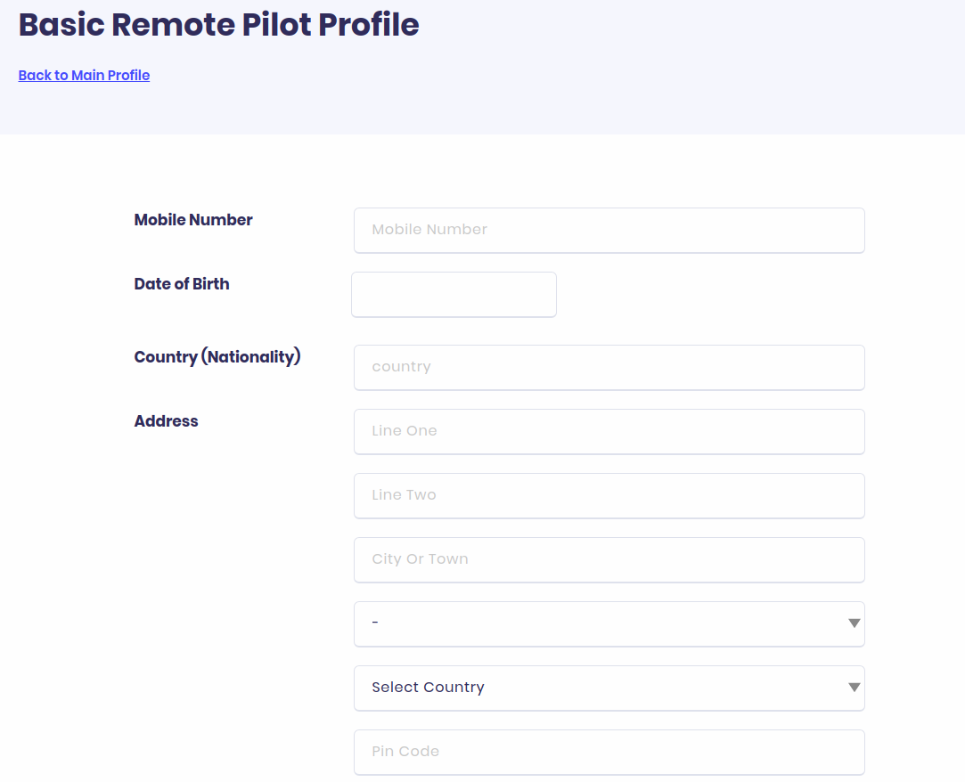 Digital Sky Platform - IndiaFilings