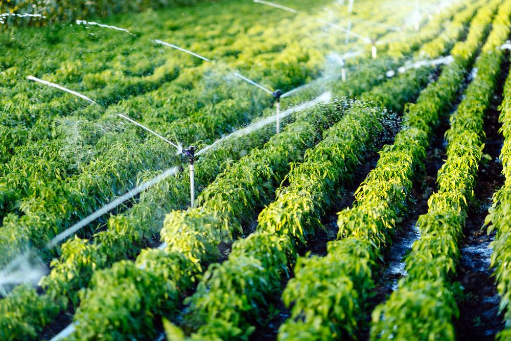 Micro Irrigation Fund - Eligibility & Application - IndiaFilings