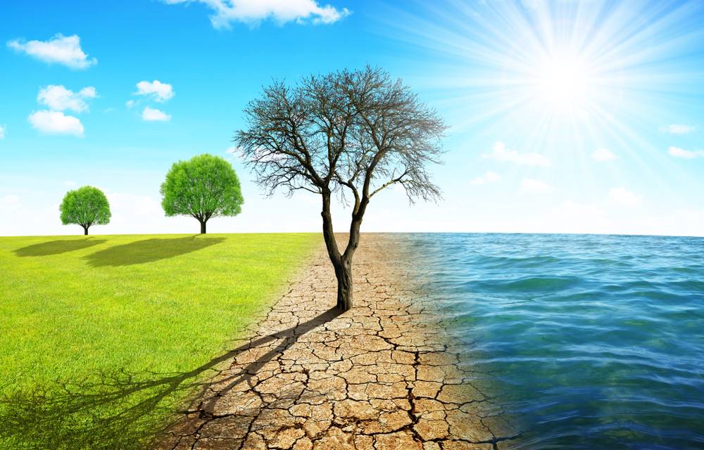 National Innovations on Climate Resilient Agriculture (NICRA ...
