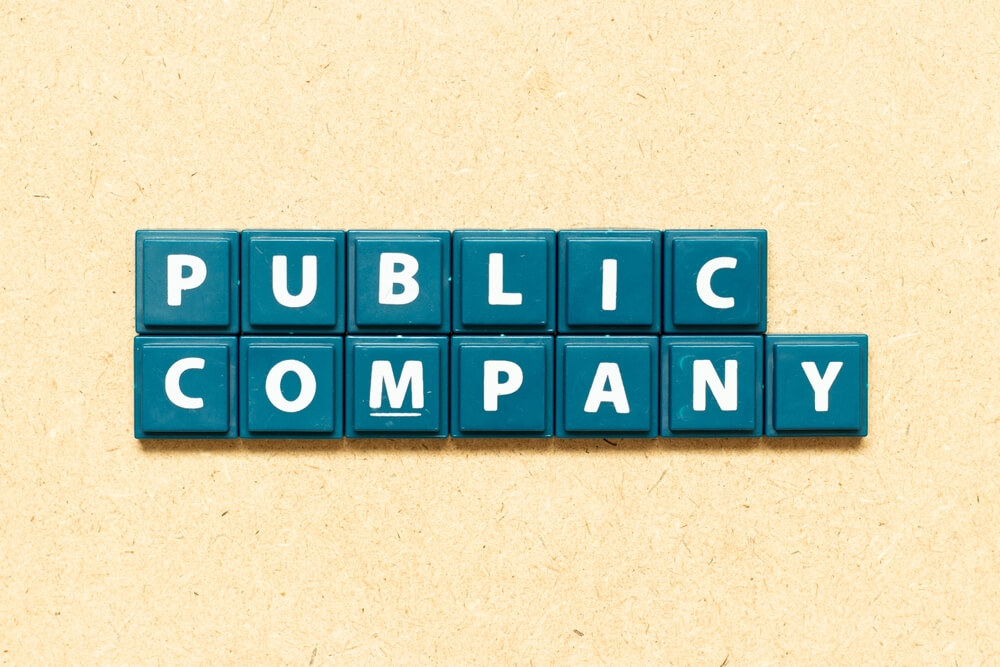 Public Company: A Comprehensive Guide - IndiaFilings