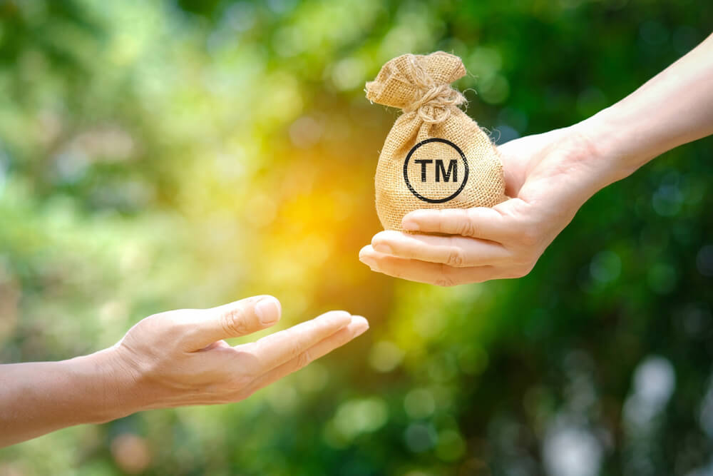 Everything You Need to Know About Trademark Transfer in India ...